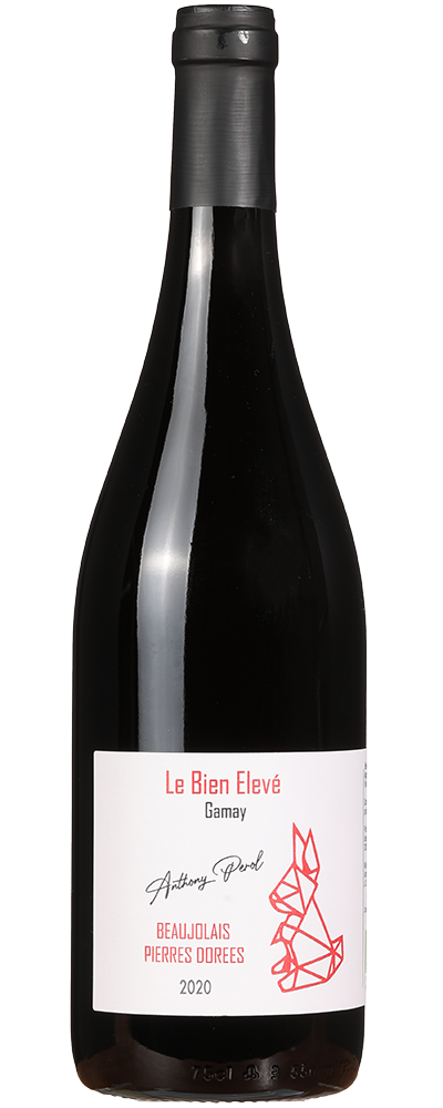 Gekoelde rode wijn: deze rode wijnen kan je gekoeld drinken