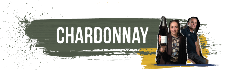 Chardonnay - explore our unique assortment | Grapedistrict